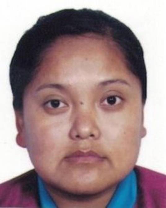 DEMA Chimi_百度百科