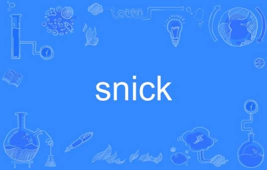 snick_百度百科