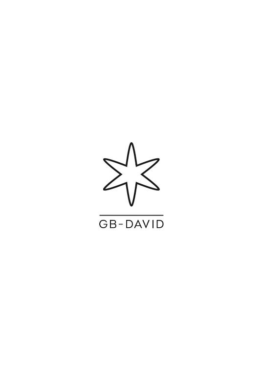 GB DAVID（品牌）_百度百科