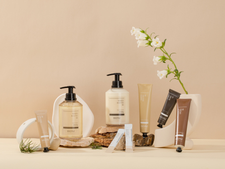 HONI EXPERIENCE_百度百科