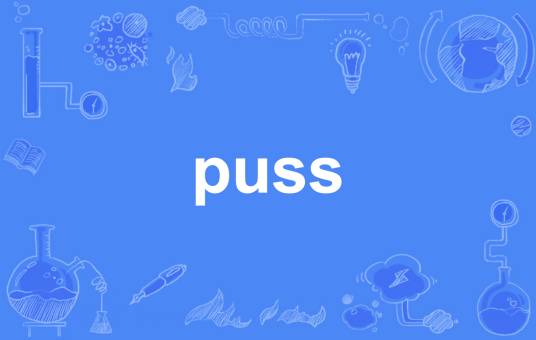 puss_百度百科
