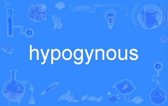 hypogynous_百度百科