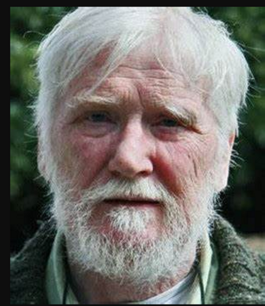 Dermot Healy_百度百科