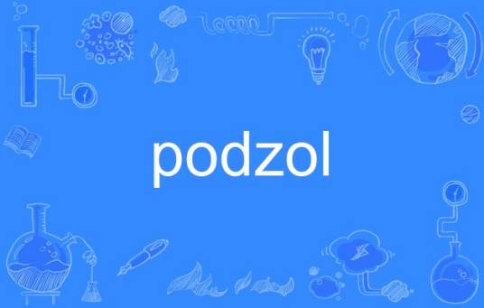 podzol_百度百科