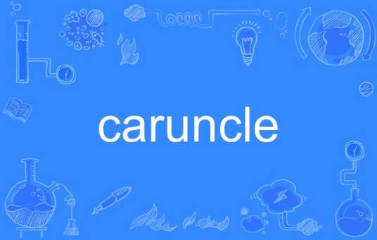 caruncle_百度百科