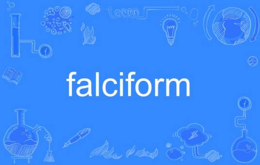 falciform_百度百科
