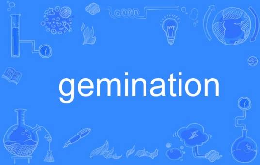 gemination_百度百科