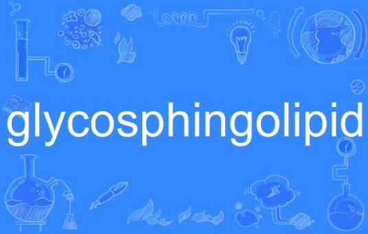 glycosphingolipid_百度百科