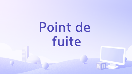 Point de fuite_百度百科