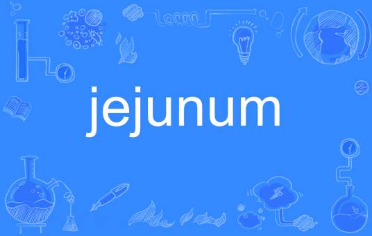 jejunum_百度百科