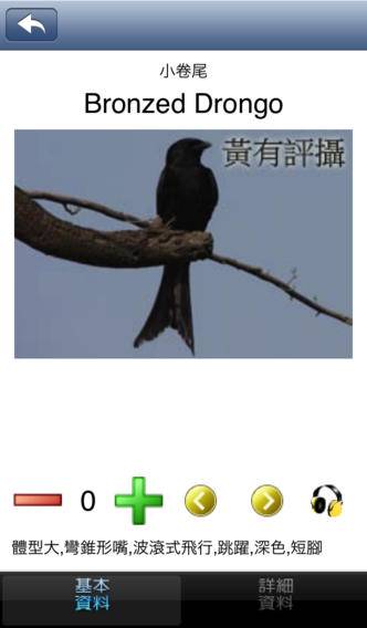 EEBirds_百度百科