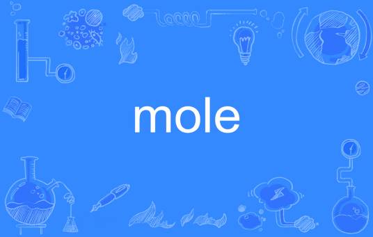 mole（英语单词）_百度百科