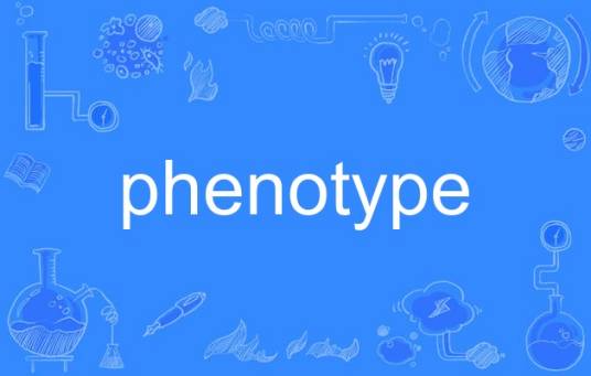phenotype_百度百科
