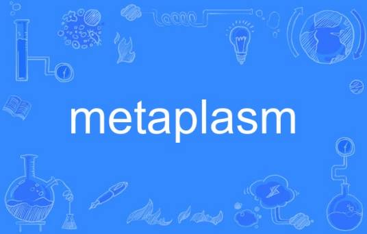 metaplasm_百度百科