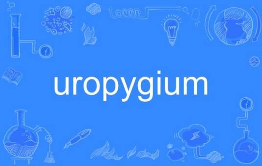 uropygium_百度百科