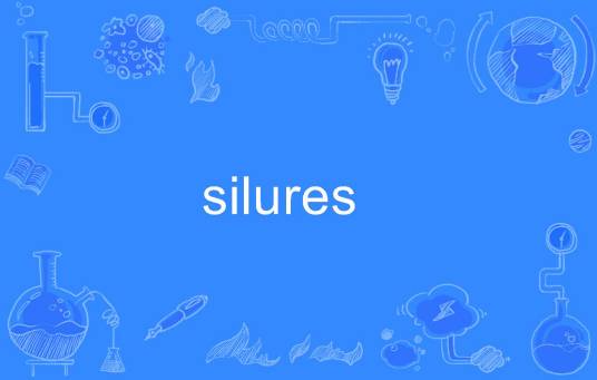 silures_百度百科