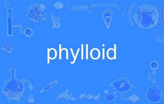 phylloid_百度百科
