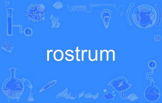 rostrum_百度百科