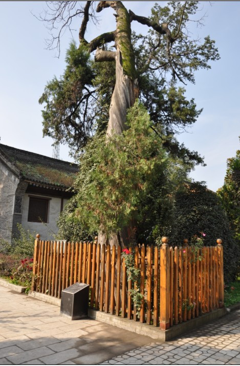 横渠镇_百度百科