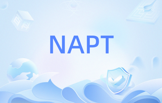 NAPT（网络端口地址转换）_百度百科