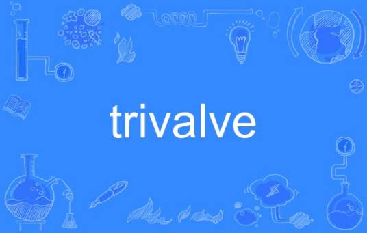 trivalve_百度百科