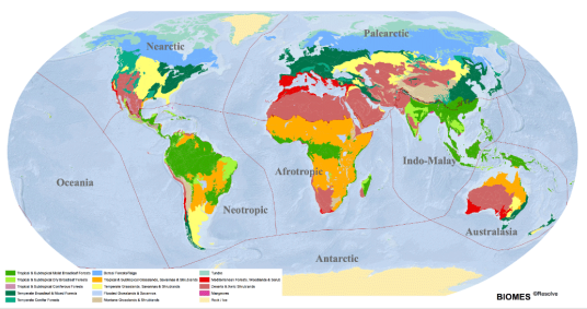 生态区域列表_百度百科