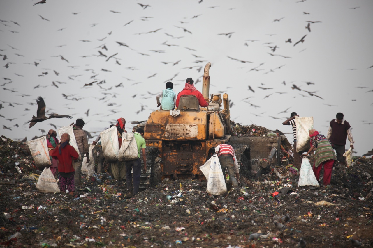 印度，遭遇垃圾山危机_百科TA说