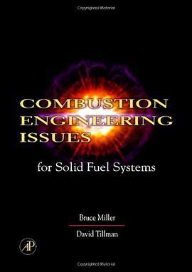 Combustion Engineering Issues for Solid Fuel Systems_百度百科