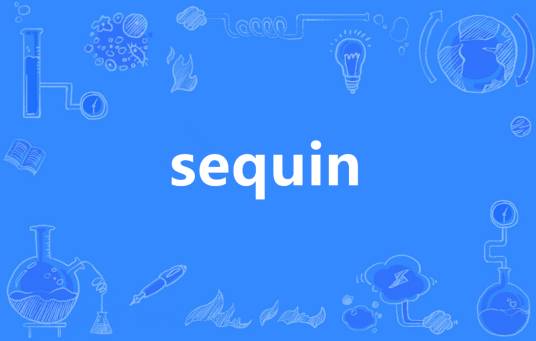 Sequin（英语单词）_百度百科
