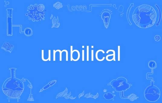 umbilical_百度百科