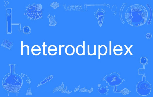 heteroduplex_百度百科