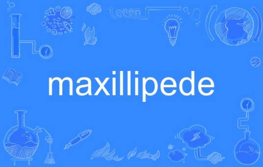 maxillipede_百度百科