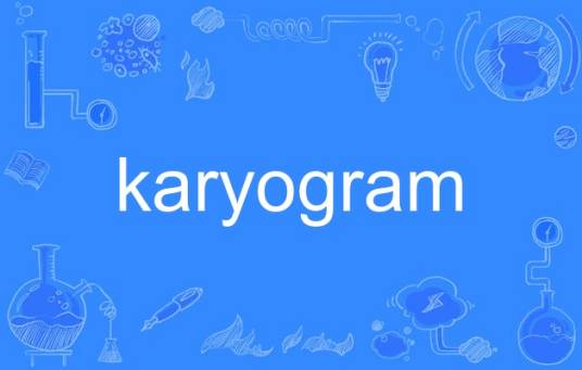 karyogram_百度百科
