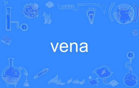 vena（英语单词）_百度百科