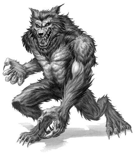Werewolf（英语单词）_百度百科