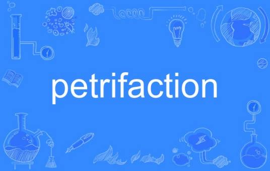 petrifaction_百度百科