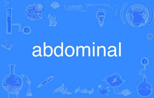 abdominal_百度百科