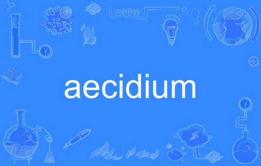 aecidium_百度百科