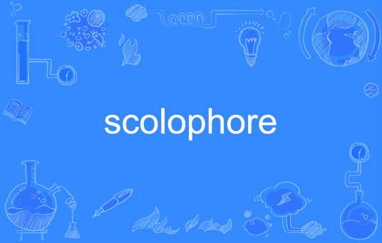 scolophore_百度百科