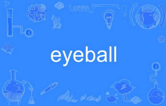 eyeball_百度百科