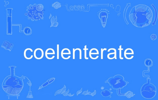 coelenterate_百度百科