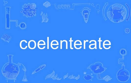 coelenterate_百度百科