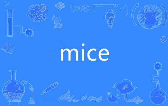 MICE（英语单词）_百度百科