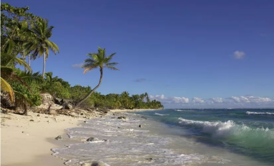 普雷帕里斯岛_百度百科