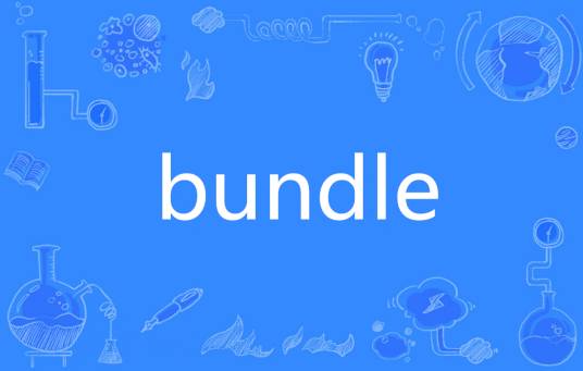 bundle（英语单词）_百度百科