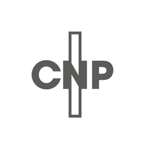 CNP_百度百科