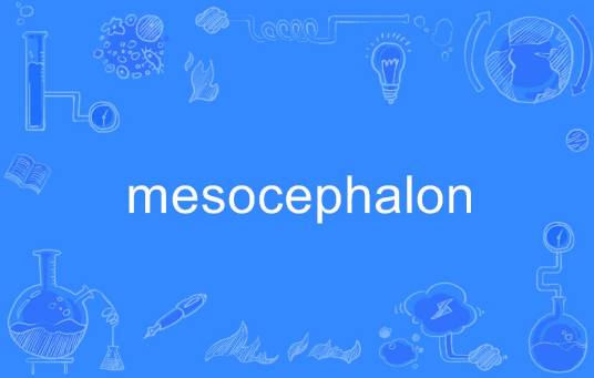 mesocephalon_百度百科
