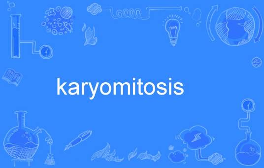 karyomitosis_百度百科