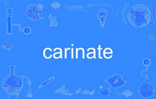 carinate_百度百科