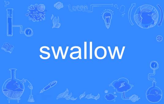 swallow（英文单词）_百度百科